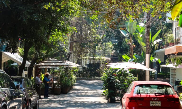 Tipps für Mexico City: 15 Dinge, die du unbedingt machen musst